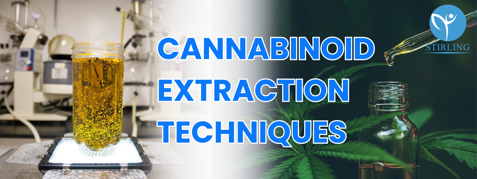 Cbd Extraction Methods Explained Stirling Cbd